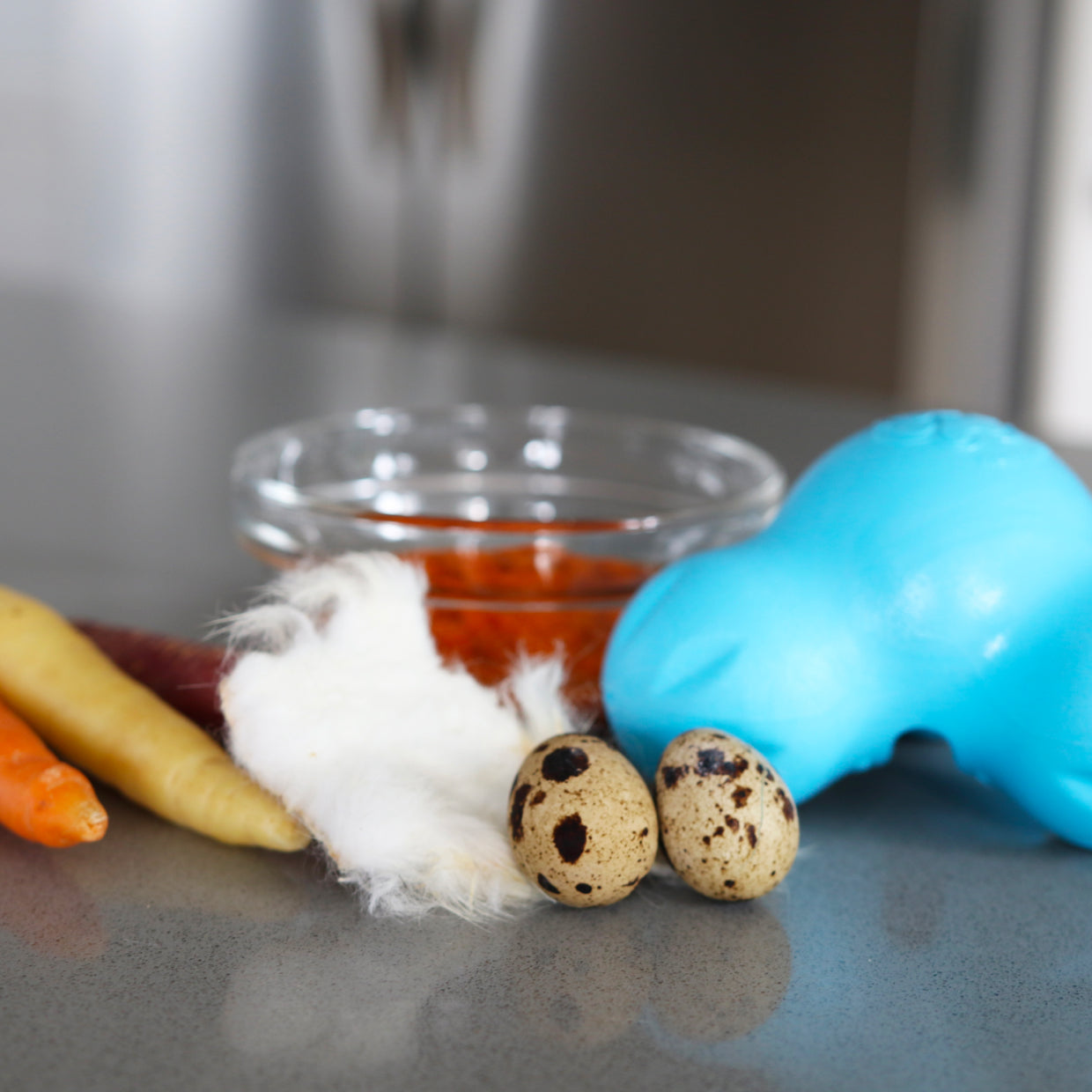 Bunny Bites Tux | West Paw