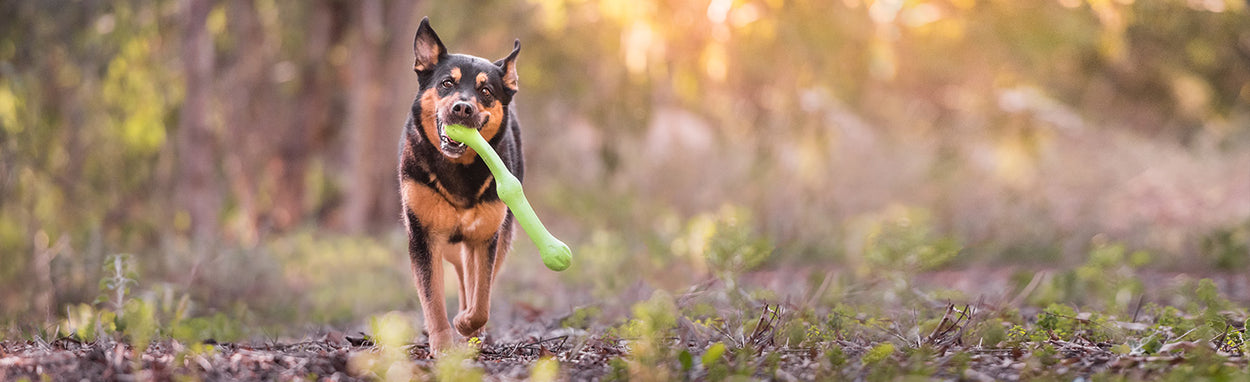 Made Responsibly | West Paw