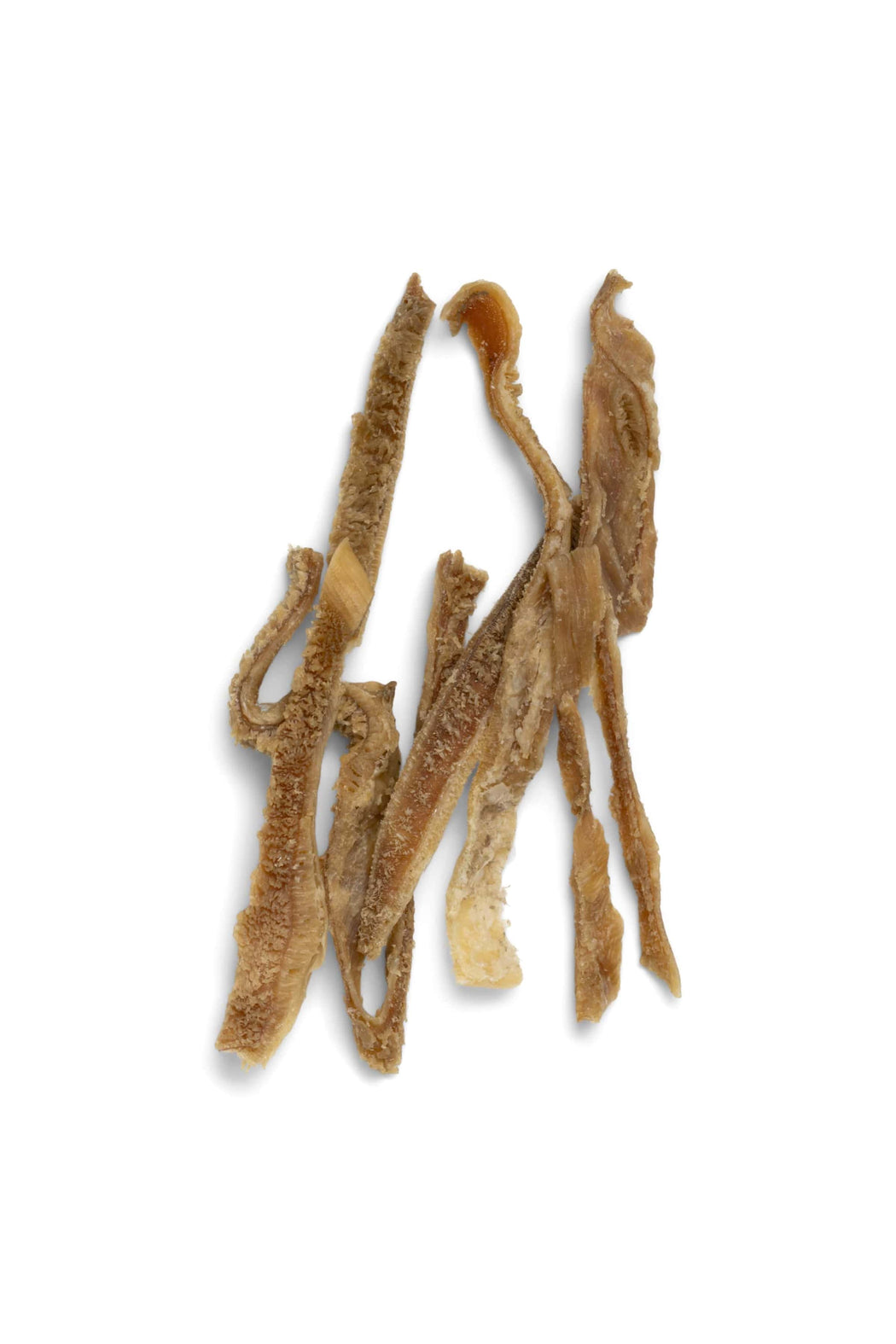 Bison Tripe | Bison Dog Treats | West Paw