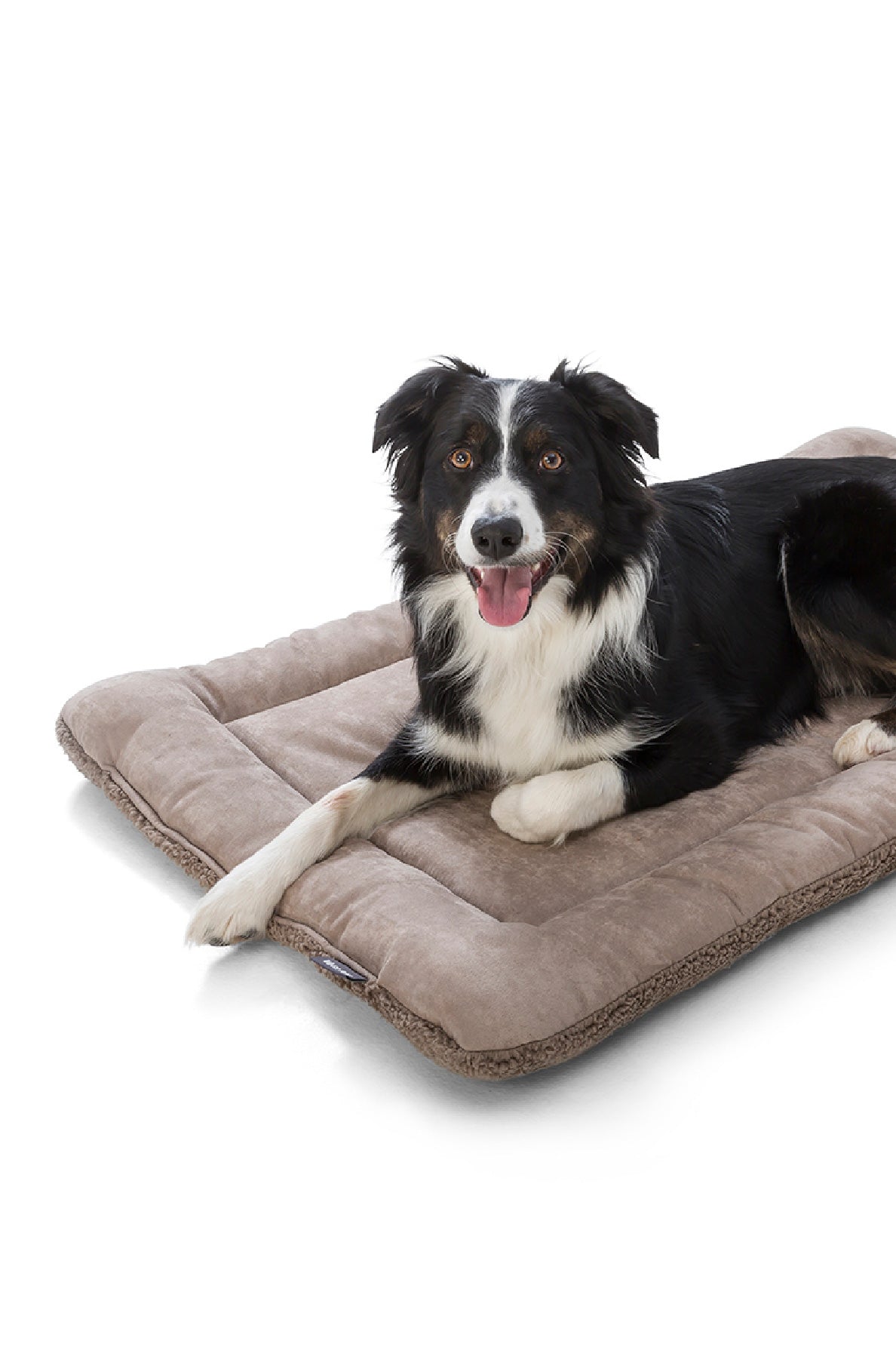 Big Sky Nap® Dog Mat | Dog Sleeping Mat | West Paw