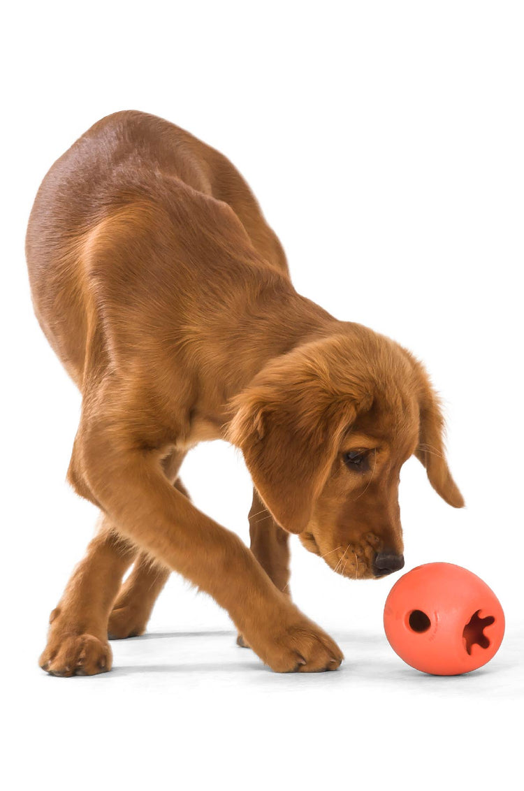 Rumbl¨ Treat Toy | Scatter Feeding Dog Toy | West Paw