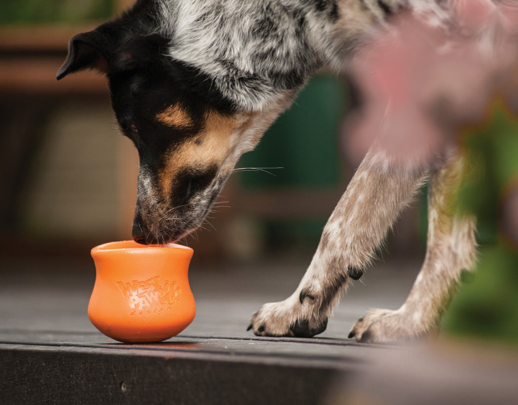 Toppl® Treat Toy | Dog Toy Treat Dispenser | West Paw Toppl