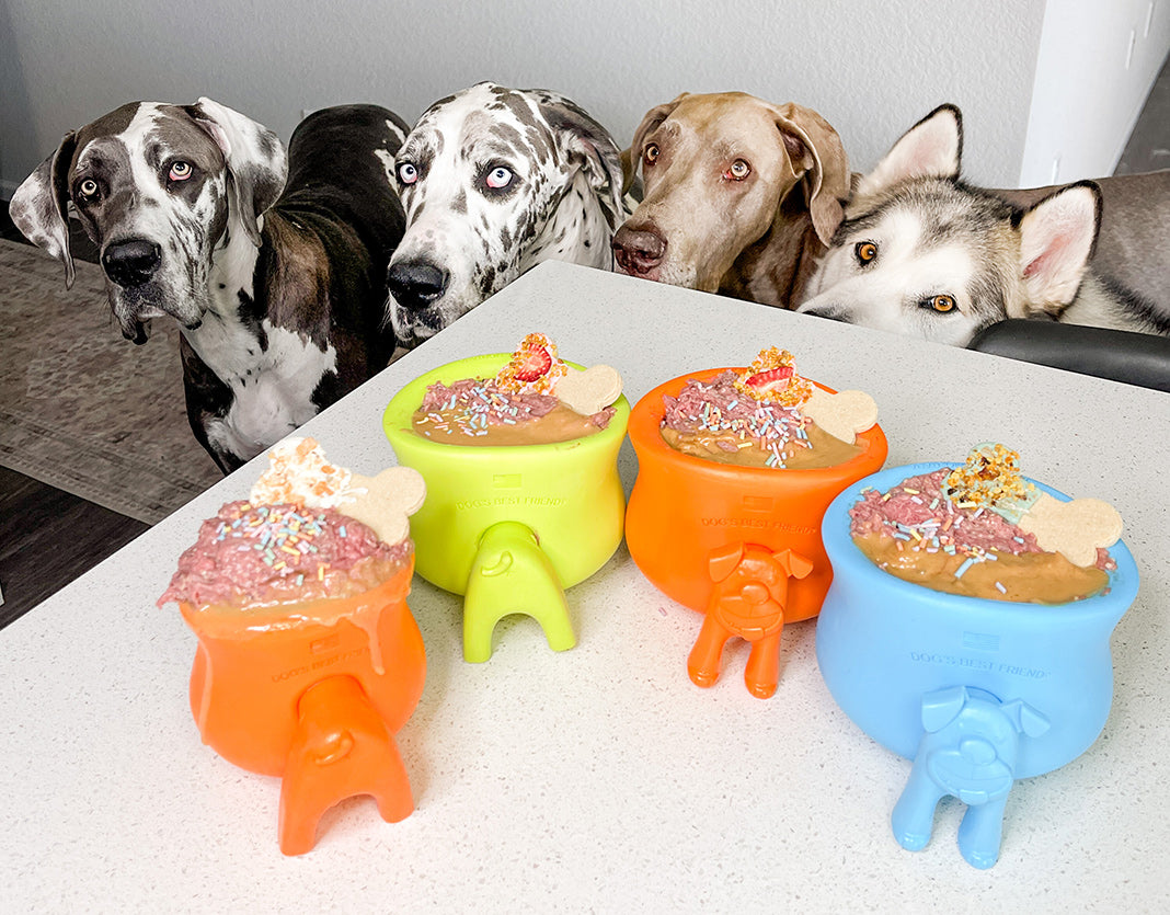 Toppl® Stopper | West Paw