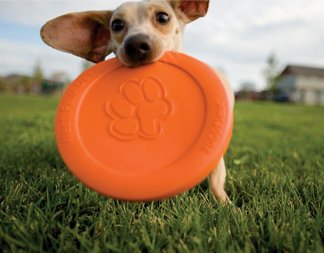 Zisc® High-Flying Disc | Dog Disc | West Paw Flyer