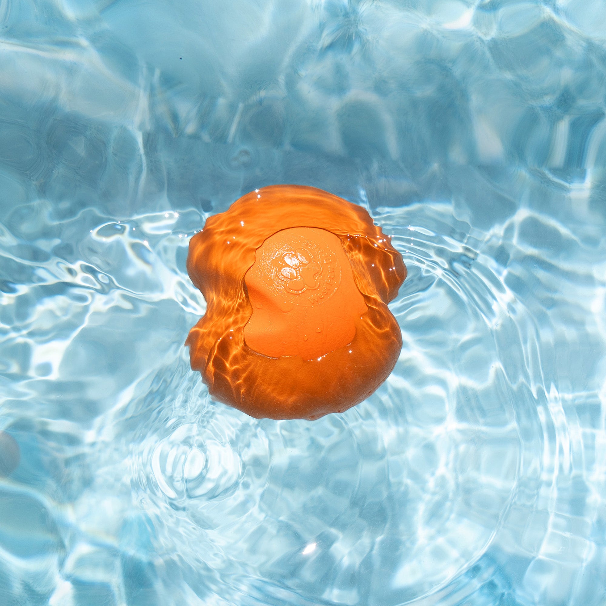 Jive® Dog Ball | Durable Dog Ball | West Paw