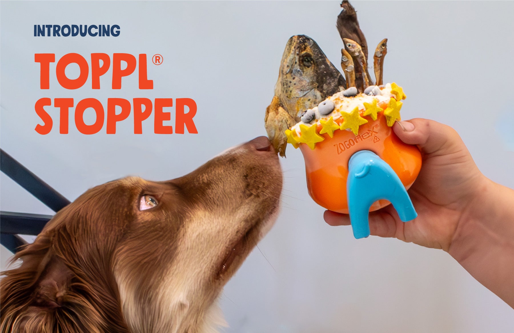 Toppl Stopper | West Paw