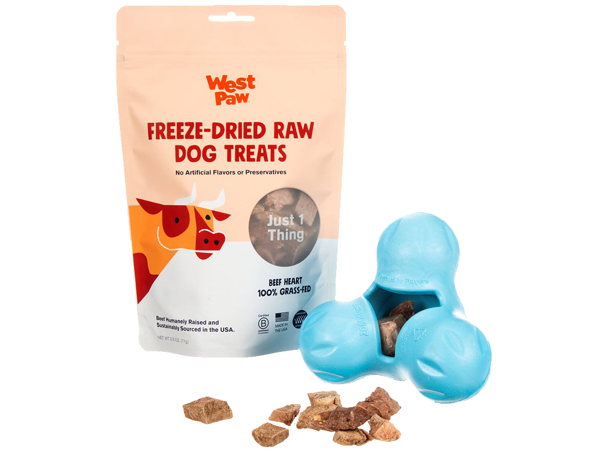 Beef Heart Freeze Dried Dog Treat 2.5 Oz Bag | Beef Heart dog Treats ...