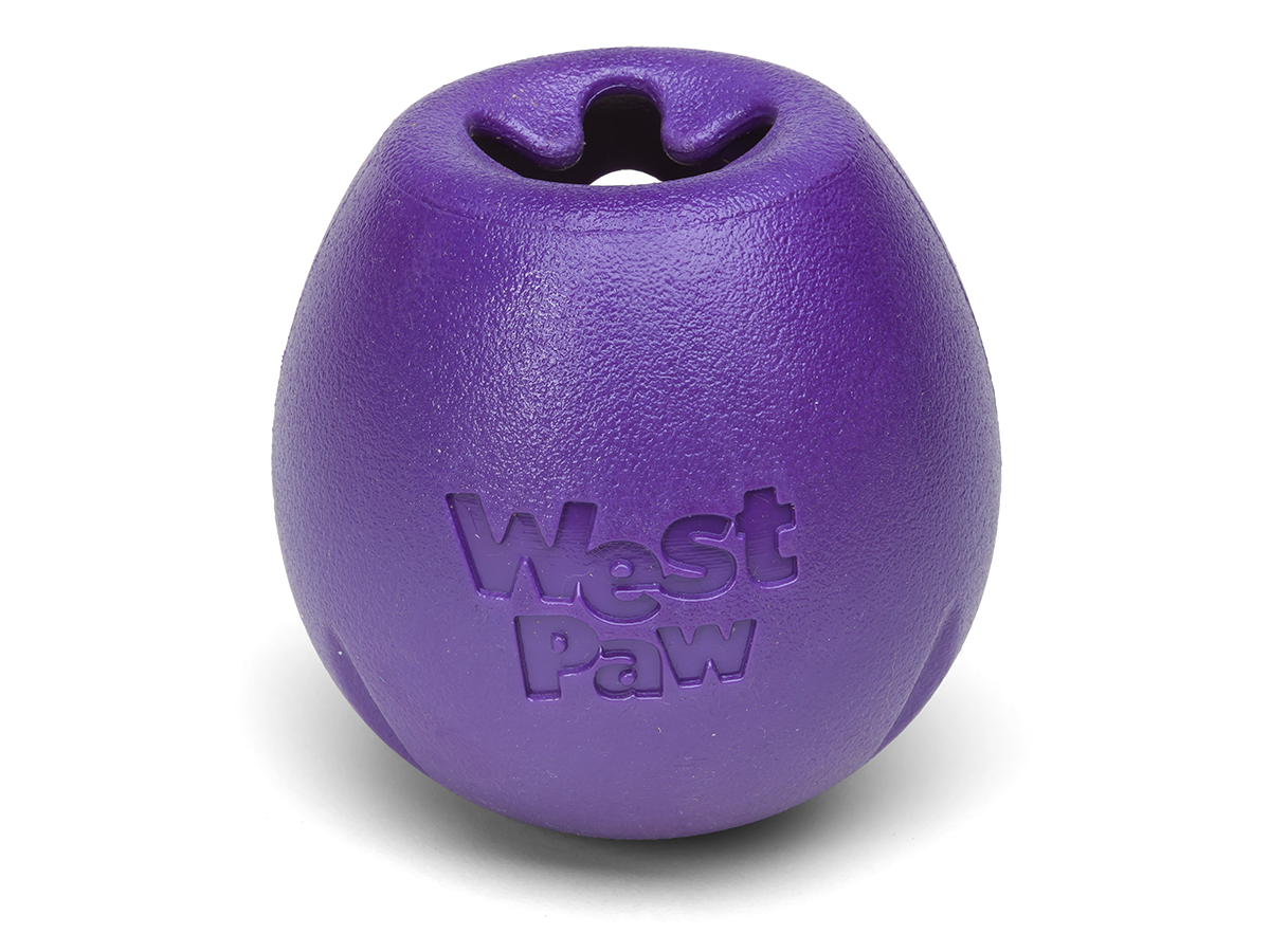Rumbl® Treat Toy | Bouncy Dog Toy | West Paw