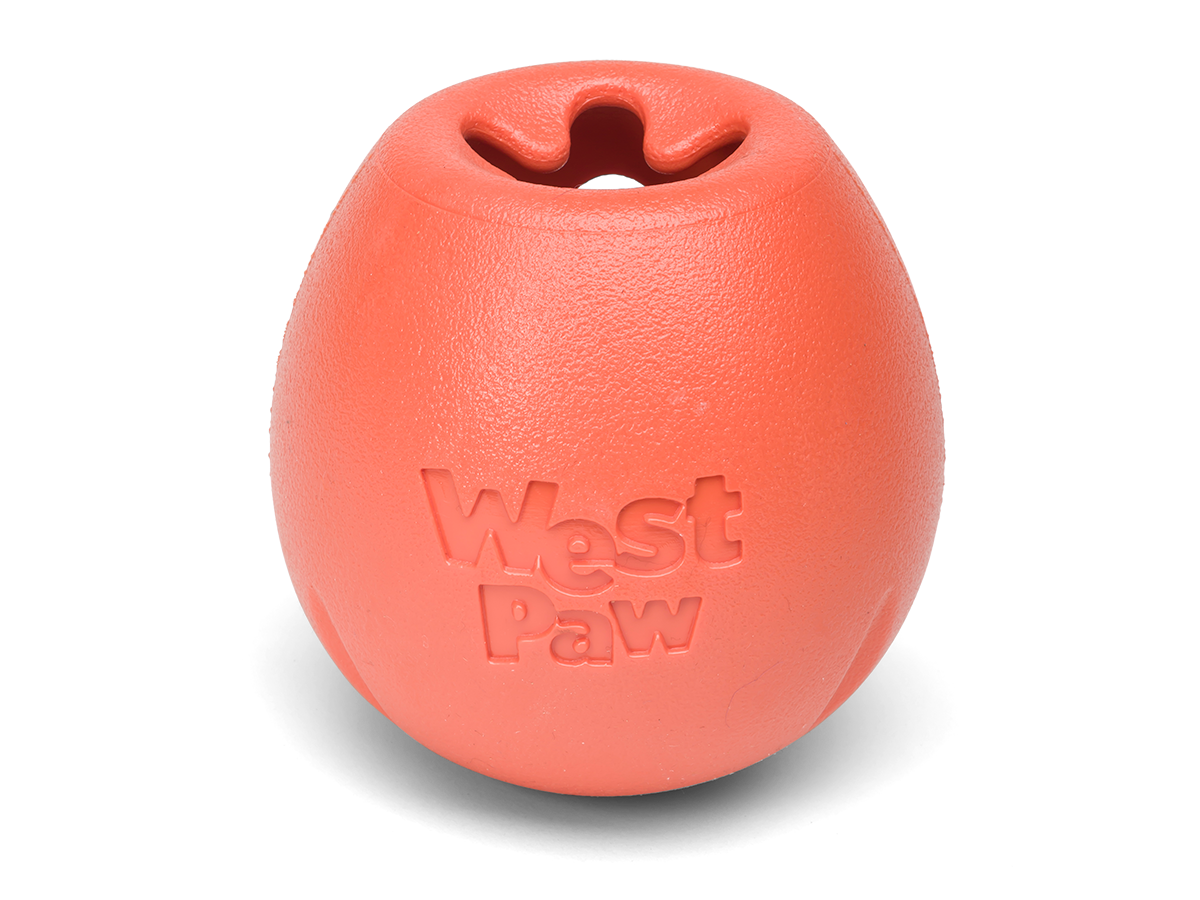 Rumbl® Treat Toy | Bouncy Dog Toy | West Paw