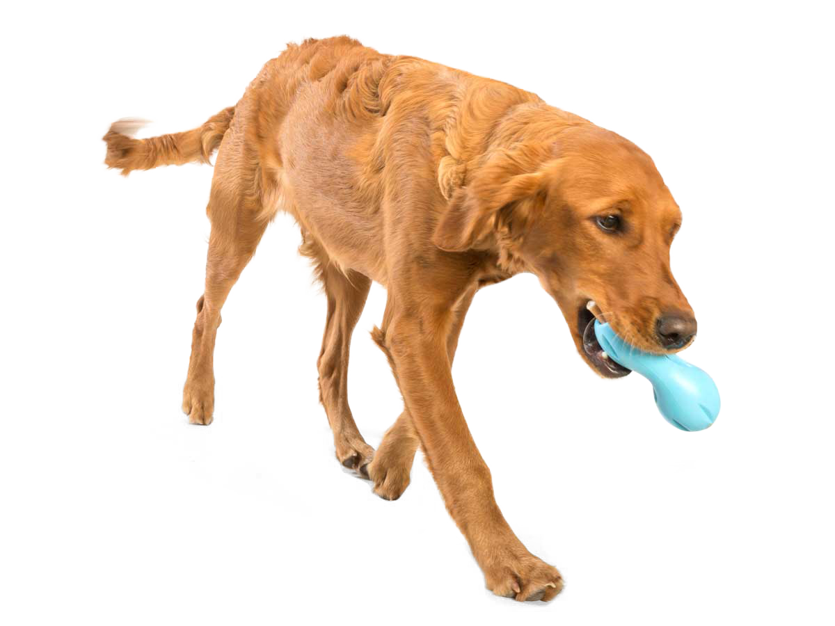 Qwizl® Treat Toy | Dog Treat Toy | West Paw