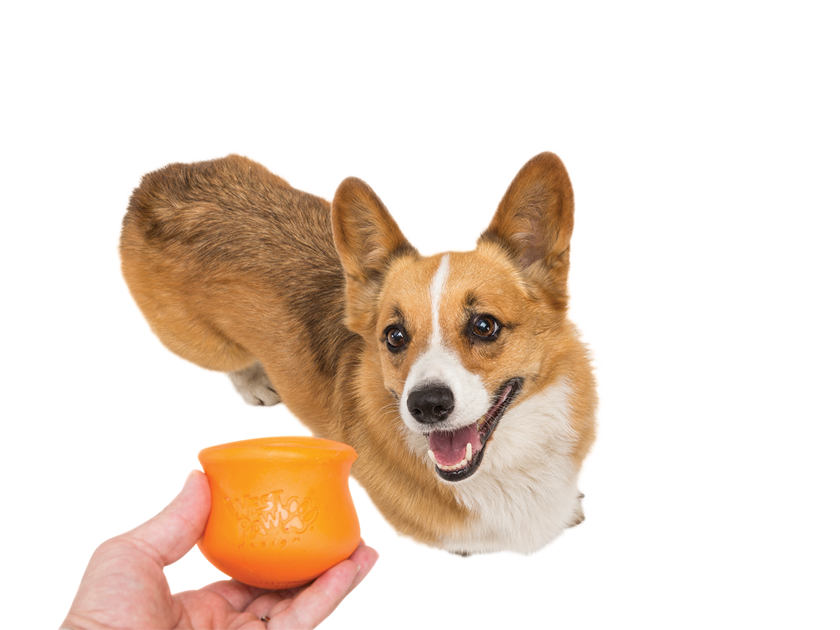 Toppl® Treat Toy | Dog Toy Treat Dispenser | West Paw Toppl